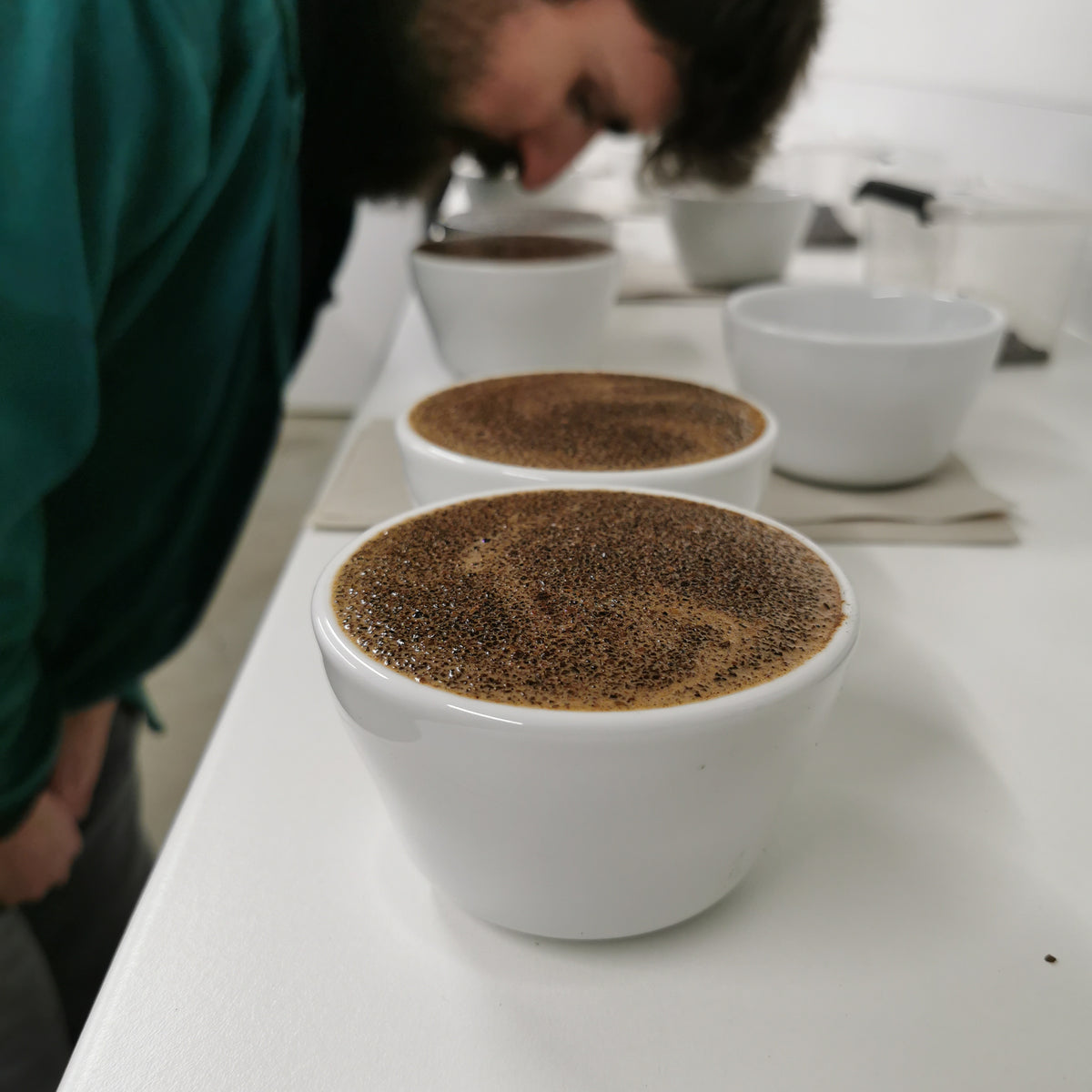 Introductie tot koffie - Dutch – OR Coffee Roasters