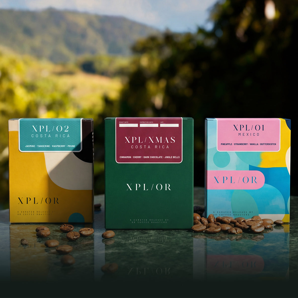 Ensemble Découverte XPL – OR Coffee Roasters
