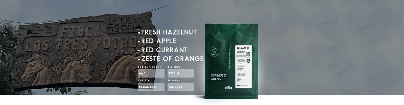 Discover the essence of our Los Tres Potros: A specialty coffee from E ...
